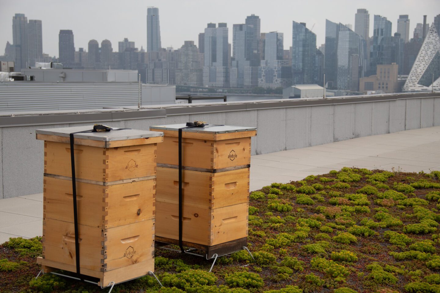 The Green Amenities & Features You Didn’t Know You Needed | Veris ...