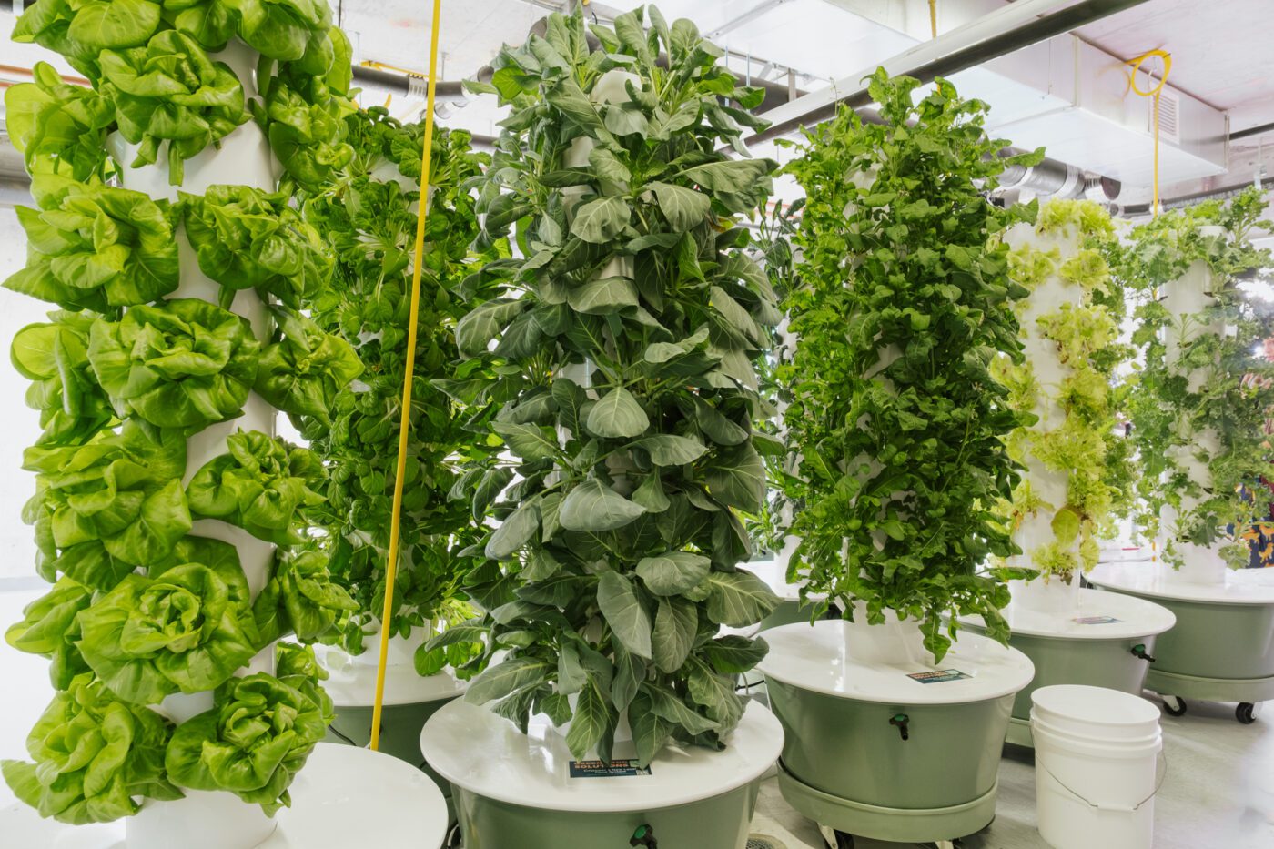 Sustainable Living Guide | Veris Residential
